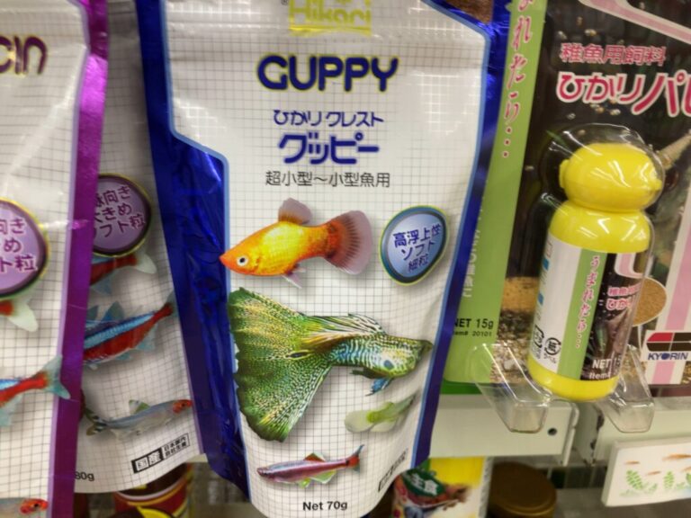 グッピーの飼い方を完全解説!飼育に必要なものと餌・混泳・繁殖方法のすべて 【salt&fresh】魚の総合サイト‐ソルフレ‐